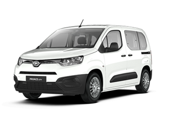Fleet - Paros Trust Rental